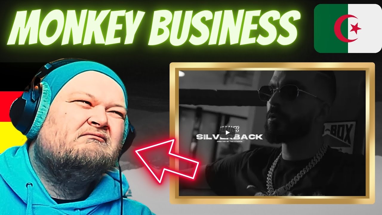 🇩🇿 Ill-Yes - Silverback | Foreigner Reaction - YouTube