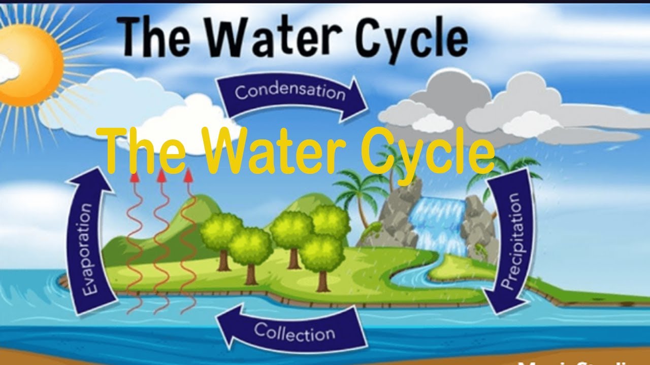 The Magical Journey of Water: Understanding the Water Cycle| # ...