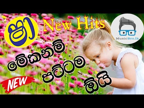 2019 New Hits sinhala Song || Dj Remix || NEW LOVE SONG SINHALA 2019