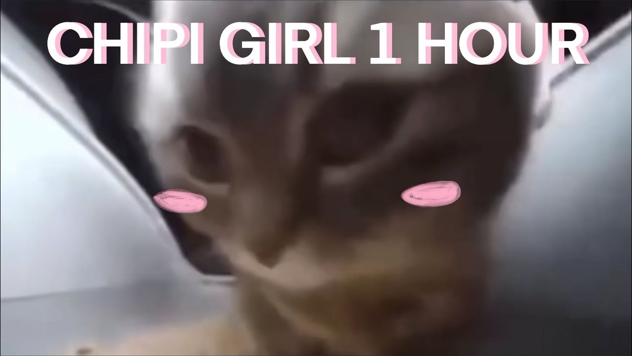 CHIPI CHIPI CHAPA CHAPA CAT 1 HOUR (Girl ver.) - YouTube