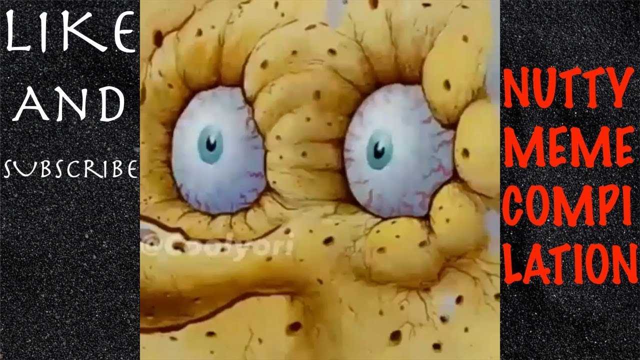 NUTTY MEME COMPILATION EP.5 - YouTube