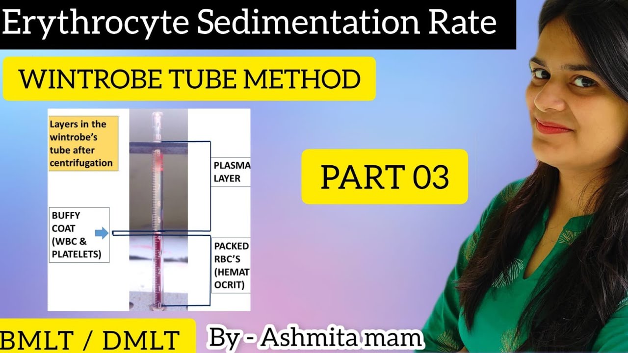 WINTROBE METHOD || ESR || HEMATOLOGY || BMLT/ DMLT - YouTube