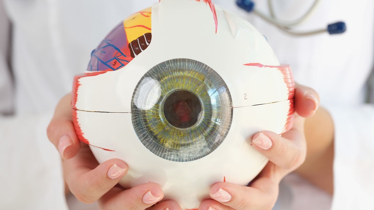 Light - How the Eye Works - 3. How do Spectacles Correct Vision? - YouTube