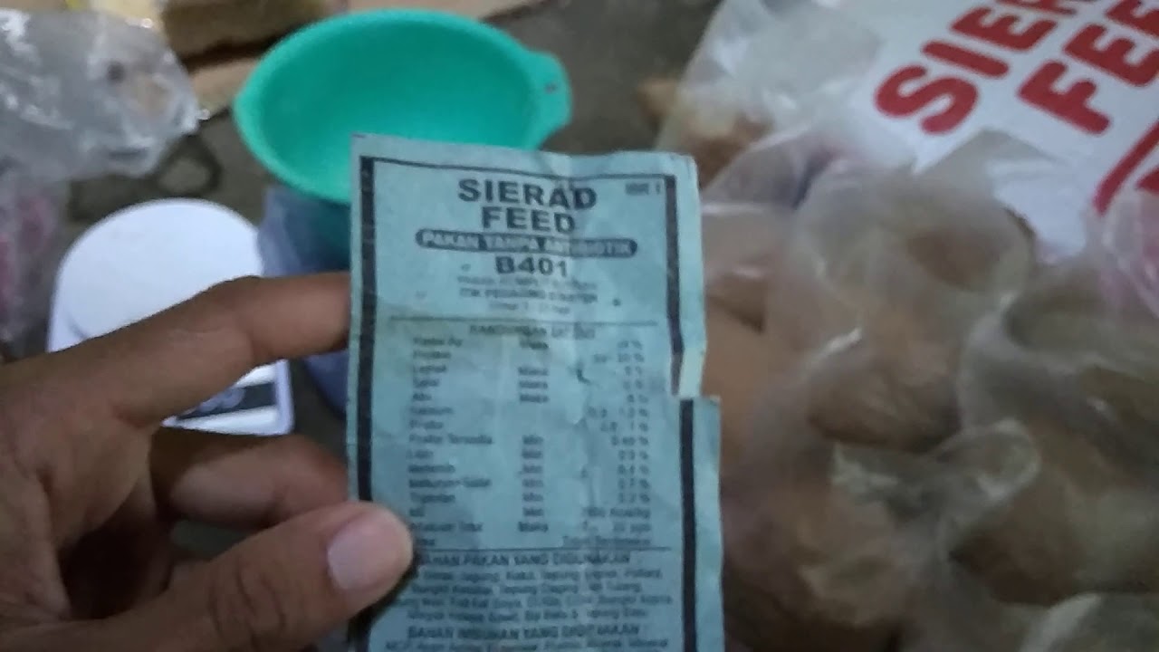 Kandungan Pakan Br1 Sieradfeed B401 || siearadproduce - YouTube