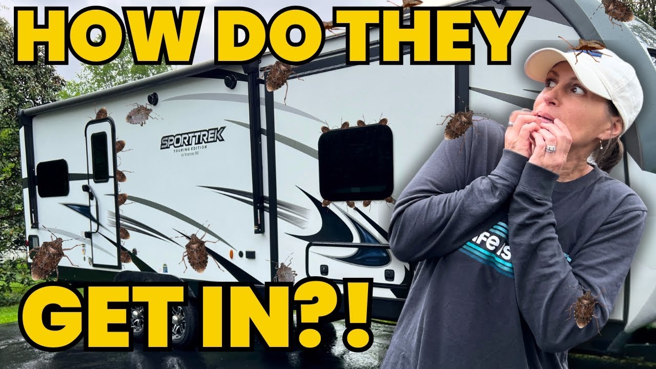 Fighting an Invasion of STINK BUGS IN THE RV while Trying to Pack for a ...