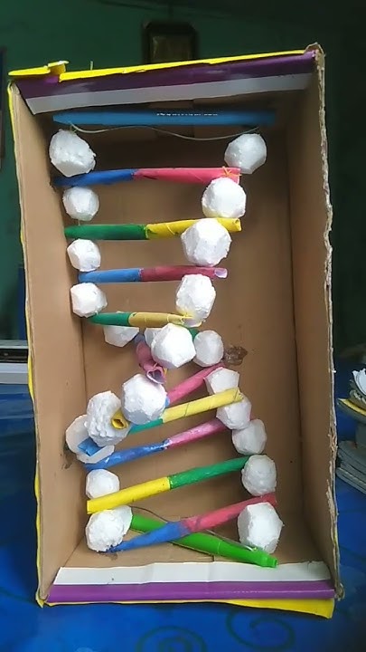 My Science Project Dna Modelshorts Youtube