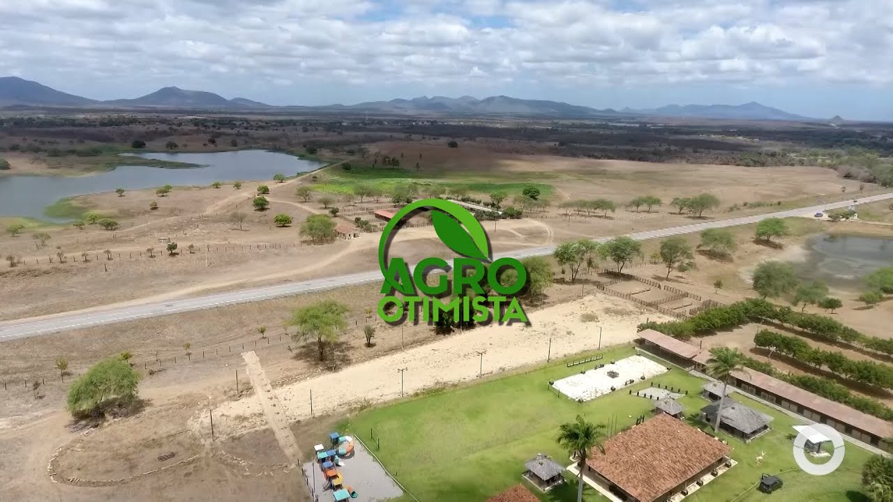 Fazenda Boisa - Agro Otimista 30/07/23 - YouTube