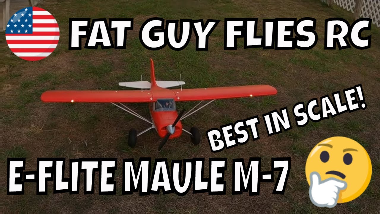 BEST SCALE RC PLANE - E-FLITE MAULE M7 by Fat Guy Flies RC - YouTube