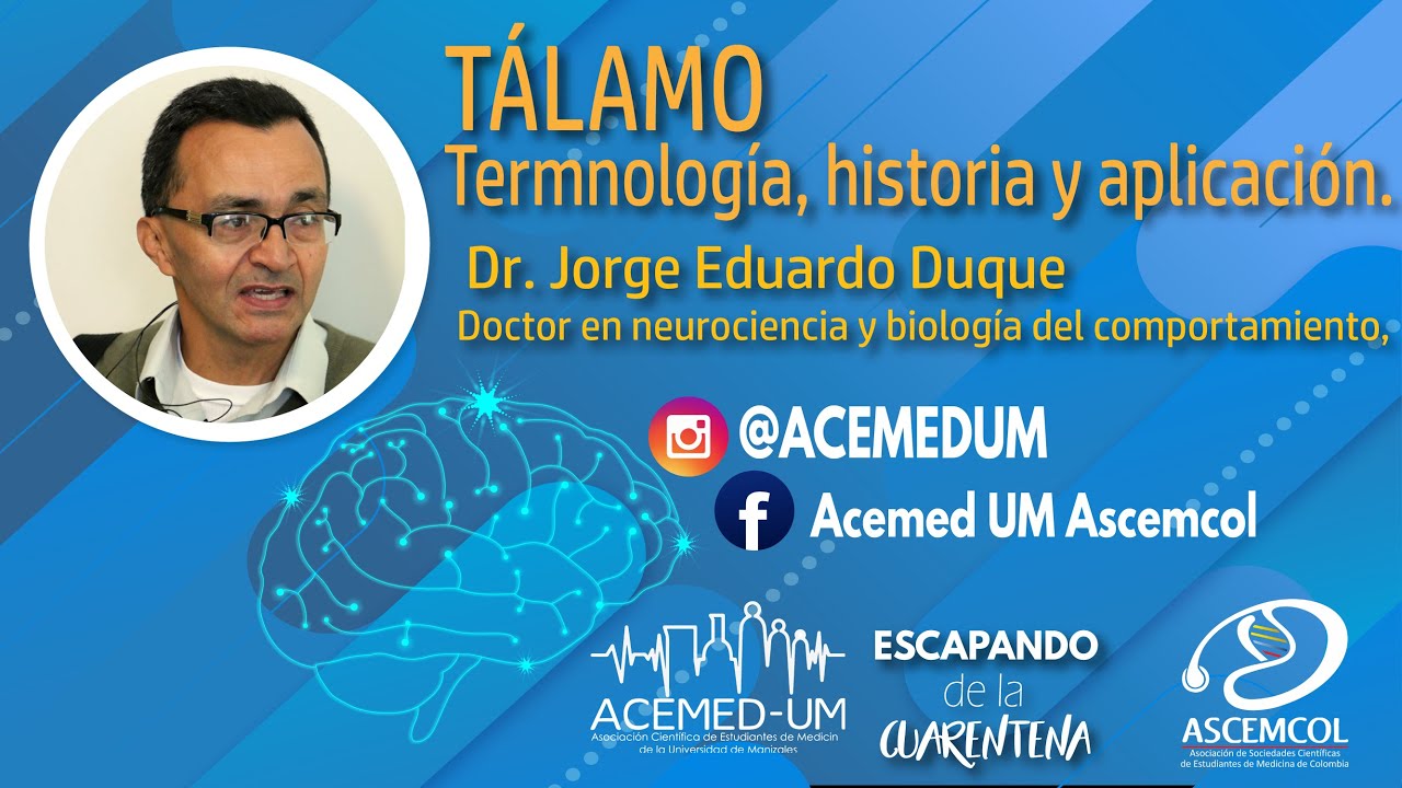 Talamo: terminología, historia y aplicación- Dr. Jorge Duque/ ACEMED-UM ...