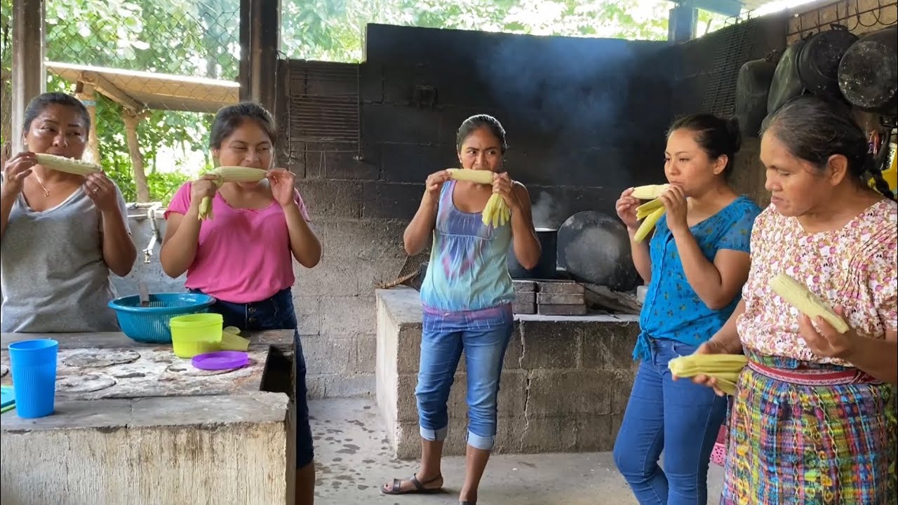 Comiendo los primeros elotes de nuestra cosecha🌱🌽 - YouTube