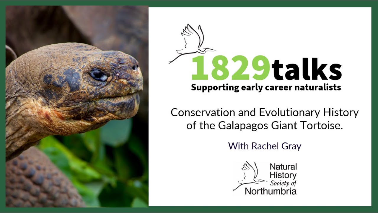 Conservation and Evolutionary History of the Galapagos Giant Tortoise ...