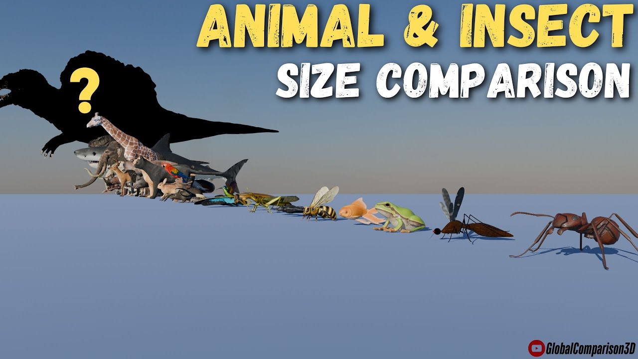 3D Animal & Insect Size Comparison | From Ant to Anaconda | Real Scale ...