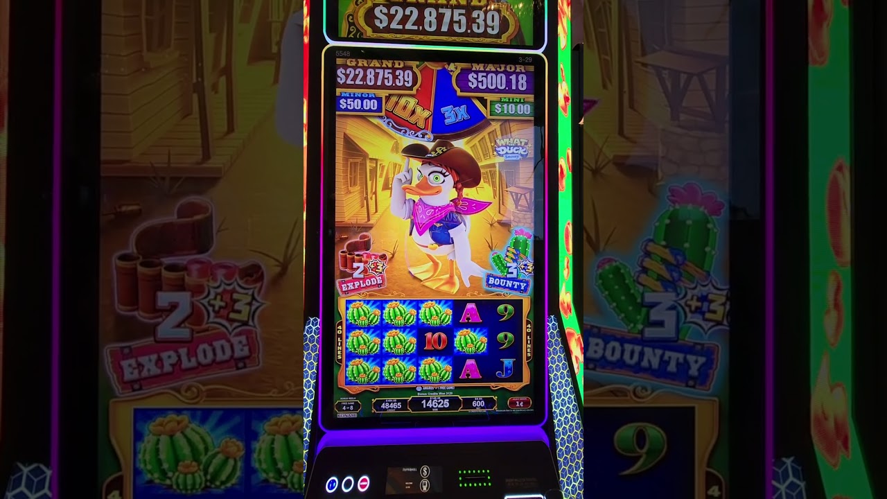 Just Released Big Win Slot Videos: The Latest & Best Payouts