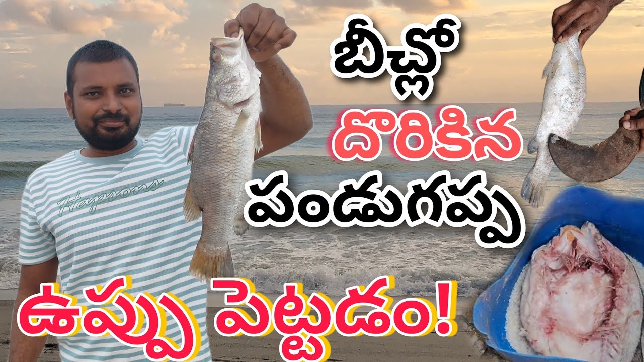 Pandu Gappa Fish Salt making process! - YouTube
