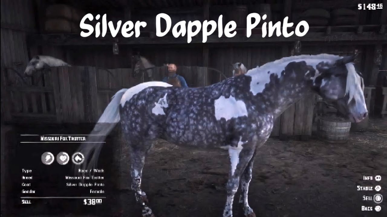 Red Dead Redemption 2 Story - Get The Silver Dapple Pinto Missouri Fox ...