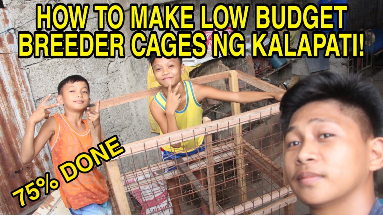 HOW TO MAKE LOW BUDGET BREEDER CAGES NG KALAPATI! - YouTube