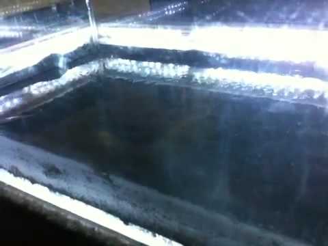Cloud Chamber Experiment - YouTube