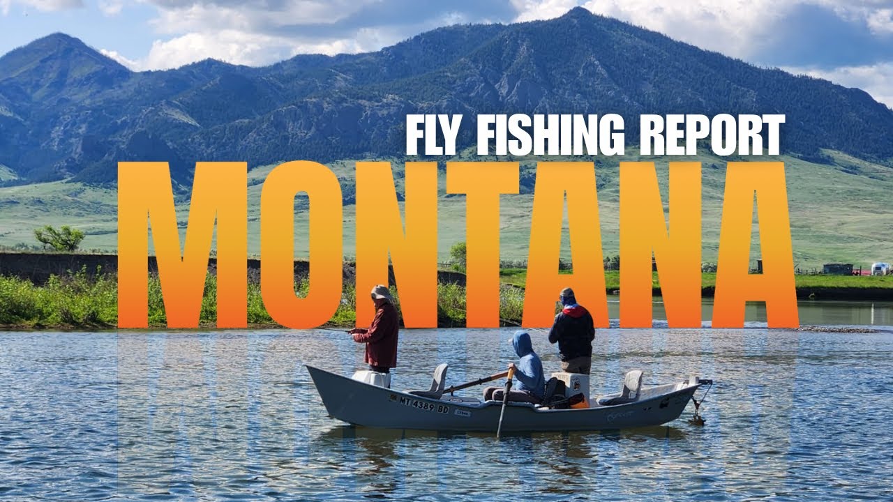 Montana Fly Fishing Report - Ryan Stultz | June 9, 2025 - YouTube
