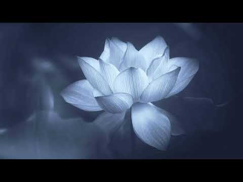 ⋆Ağlama Beni  Ana ⋆