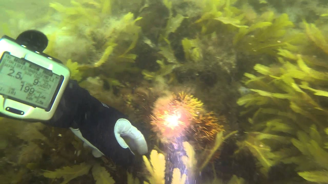 DiveTech.dk og FTZ ved Risskov strand, Aarhus Bugten 30-07-2014 - YouTube