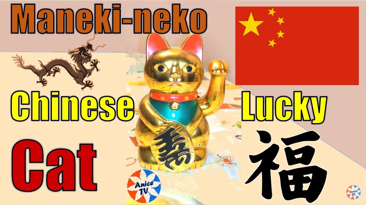 Relax yourself with: Maneki-neko - Chinese Lucky Cat - YouTube