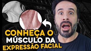 PLATISMA: CONHEÇA O MÚSCULO DA EXPRESSÃO FACIAL. | Doovi