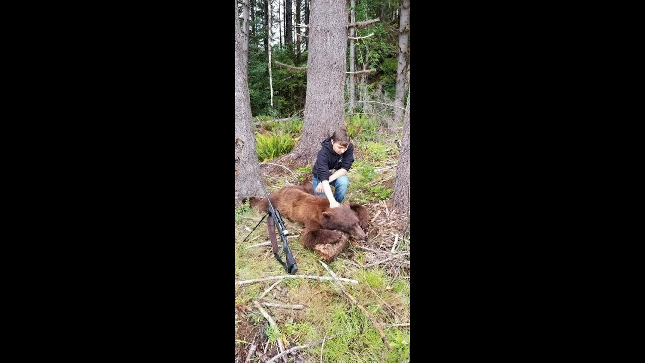 Beautiful Big Color Phase Boar! Oregon Spring Bear Season 2019! - YouTube