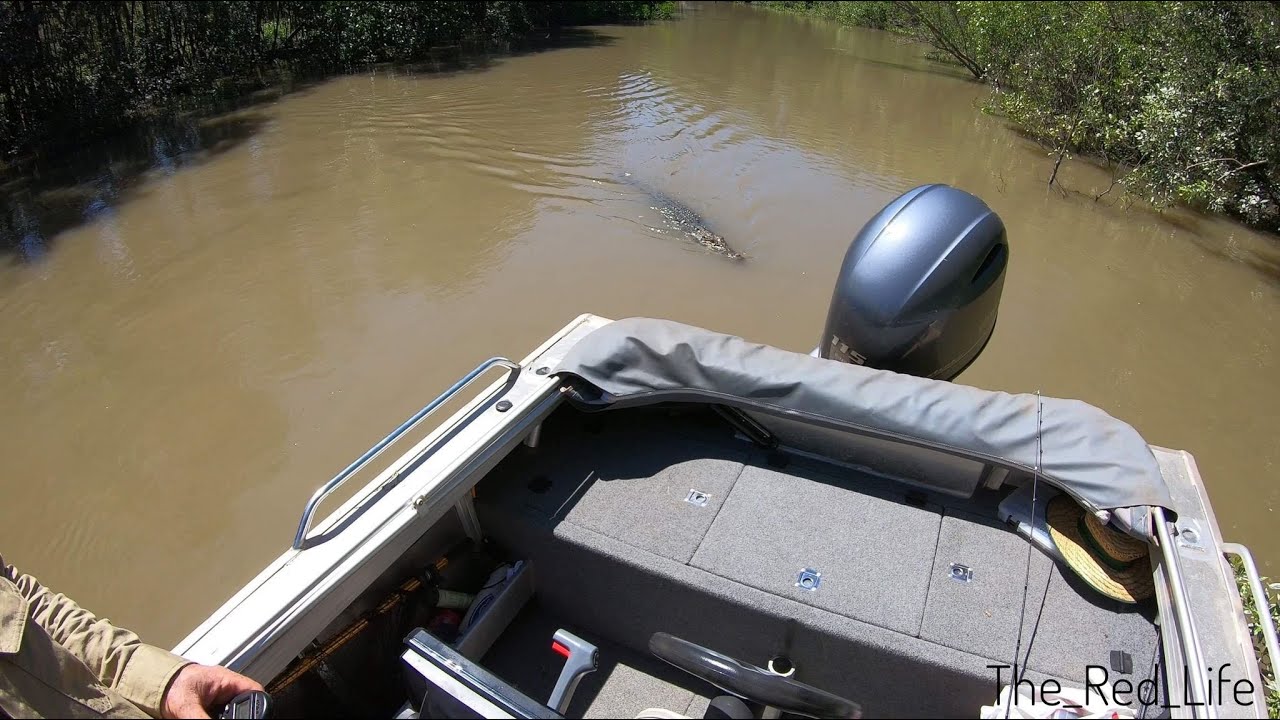 CROC ATTACKS BOAT! Mud Crab & Salmon Mission - YouTube