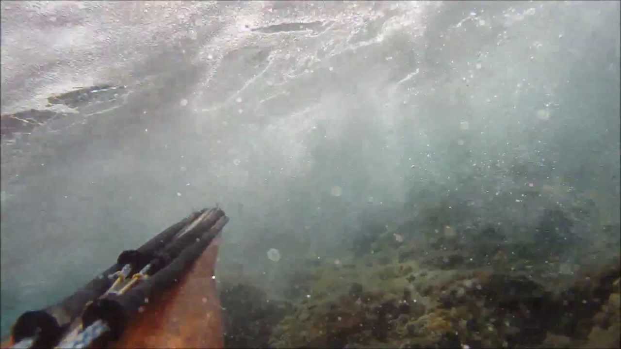 Shallow water spearfishing - Greece - YouTube