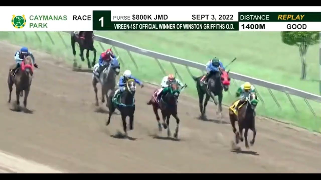 JAMAICAN HORSE RACING (SEPT 3, 2022) - ANNGELOS WINS THE FIRST - YouTube