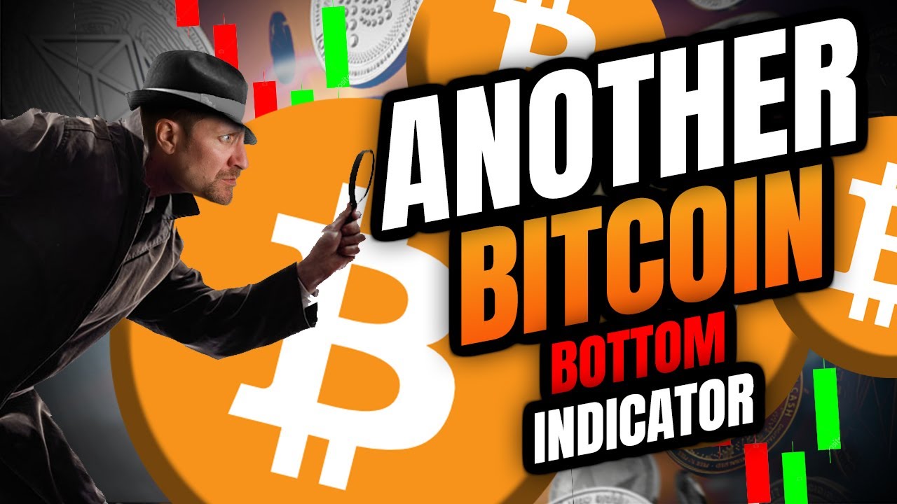 Bitcoin's 2 Week Chart | Another BTC Bottom Indicator - YouTube