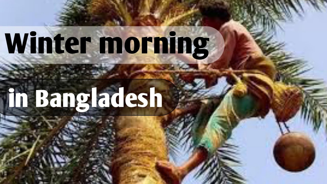 Beautiful Winter Morning in Bangladesh ,2020 - YouTube