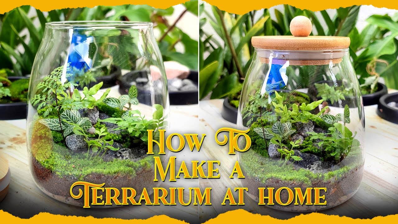 How To Make a Terrarium at Home - An In-Depth Tutorial #terrarium #terrariumart - YouTube