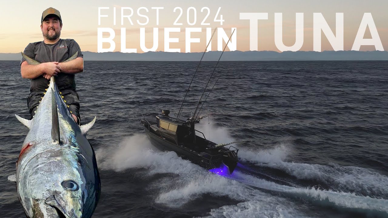 FIRST 2024 BLUEFIN TUNA - Greymouth, New Zealand - YouTube