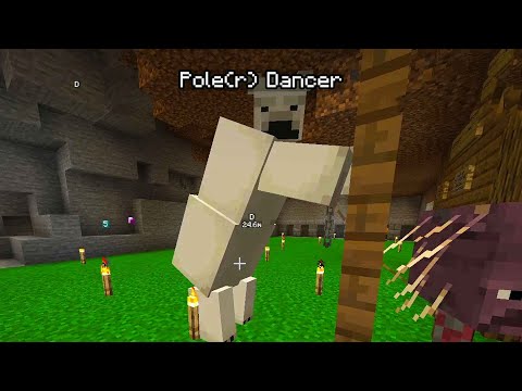 MINECRAFT WASNT MADE FOR THIS