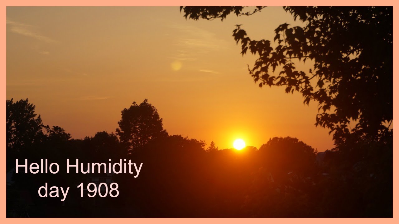Vlog - Hello Humidity - day 1908 - YouTube