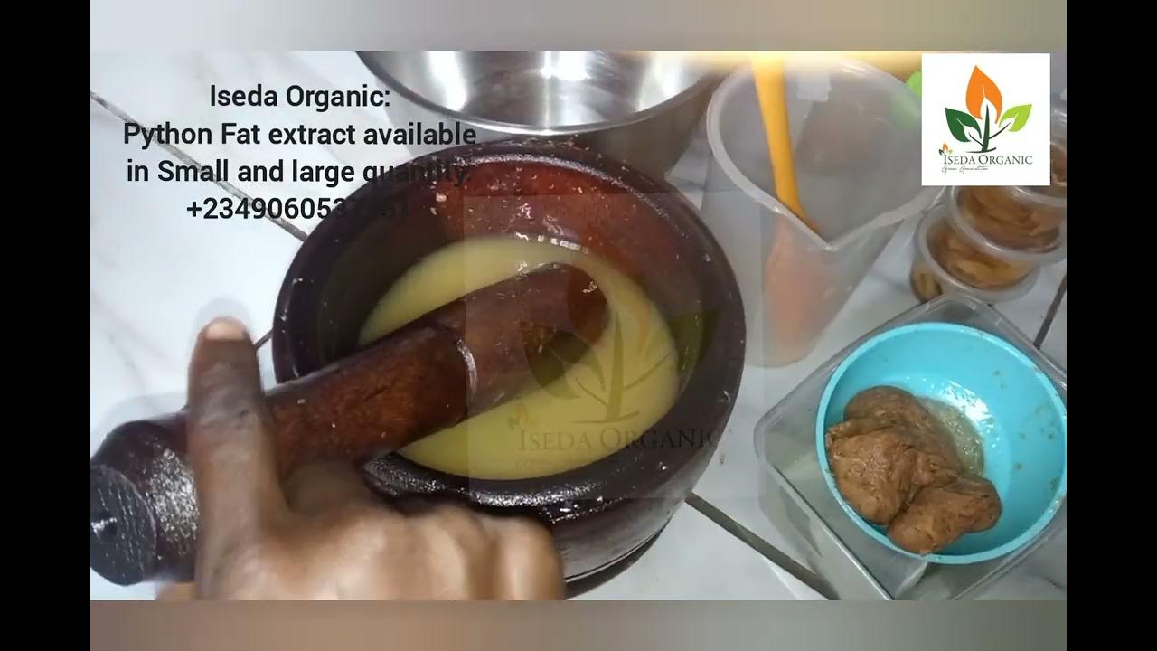 Python Fat extract for stretch marks, scars remover made easy for ...