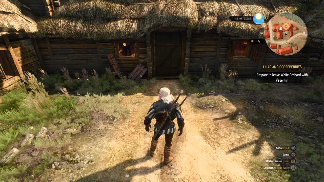 The Witcher 3: Wild Hunt Tavern Goose - YouTube