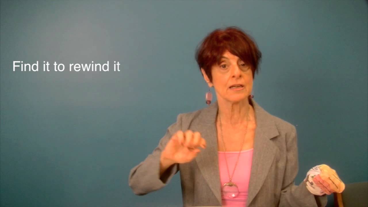 Handy Brain Model Managing Your Emotions - YouTube