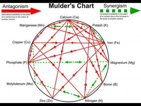 خارطة مولدر لتحفيز وتضاد العناصر Mulder’s chart - YouTube