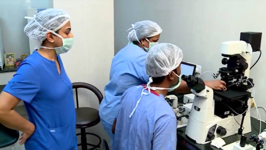 IVF Procedure YouTube IVF Procedure YouTube