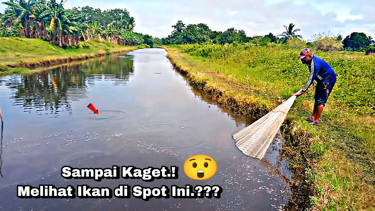 KAGET.!!! JALA IKAN DI PARIT DEKAT LAUT LIHAT SAJA HASILNYA || NET ...