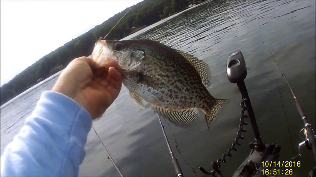 tightlining vertical structure for summer crappie - YouTube