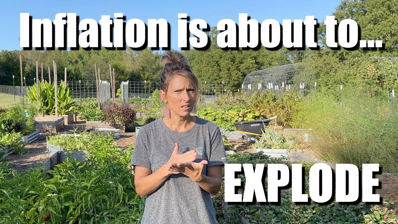 WARNING! Why INFLATION will SURGE and how we are preparing for it NOW ...