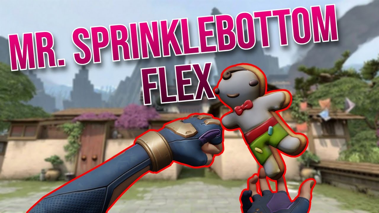 Mr. Sprinklebottom Flex - Valorant Flex Showcase - YouTube