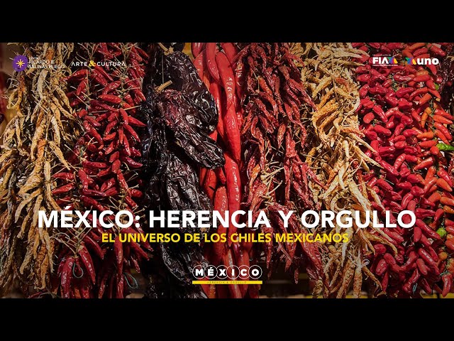 Tipos De Chiles Mexicanos