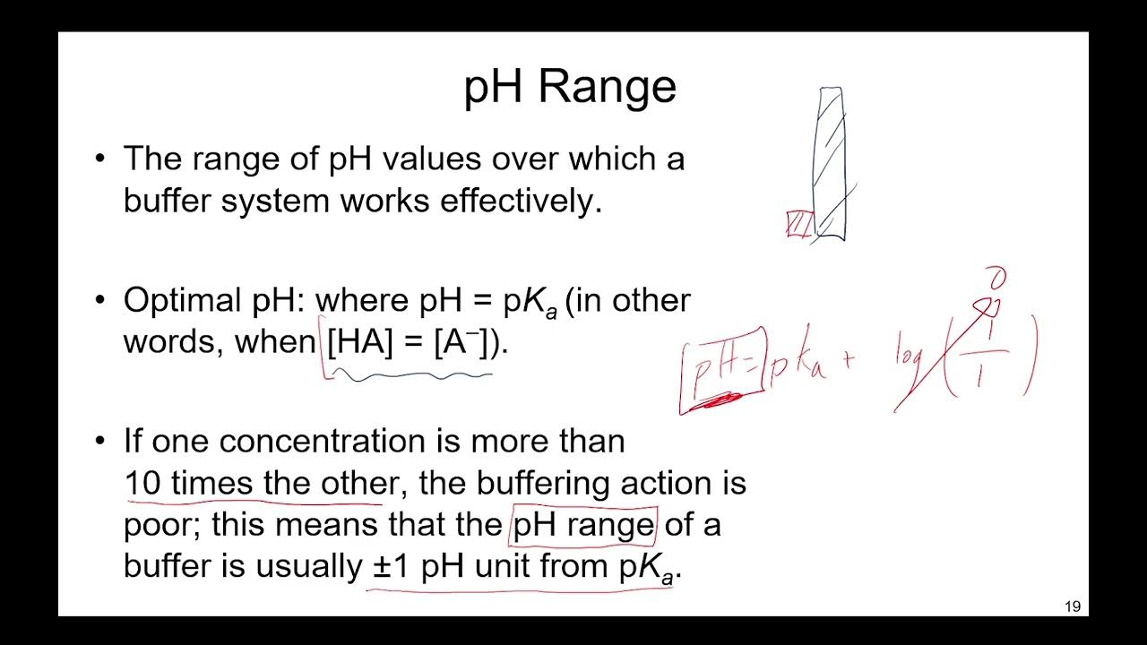 Buffer Capacity, pH Range, and Calculations for Adding Acids or Bases ...