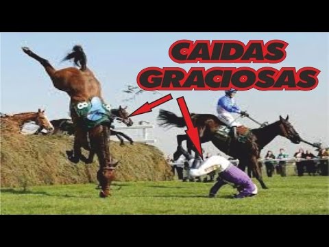 caballos CABALLOS caballos caidas de caballos - YouTube