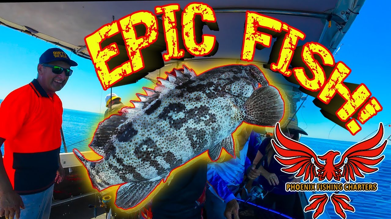 BIG fish on board, fishing the great barrier reef. - YouTube