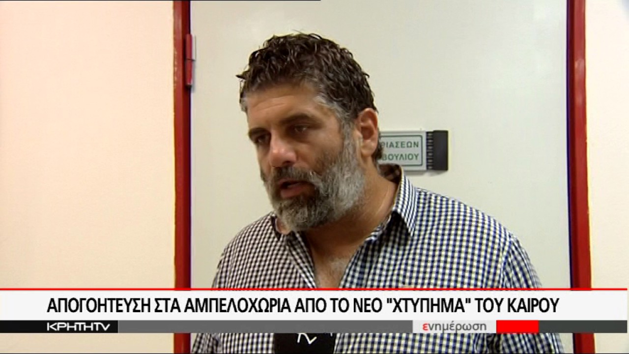 ΜΕΤΡΟΥΝ ΠΛΗΓΕΣ ΑΠΟ ΤΟΝ ΚΑΥΣΩΝΑ ΟΙ ΑΜΠΕΛΟΥΡΓΟΙ - YouTube